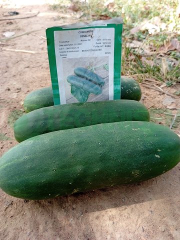 Nos Produits